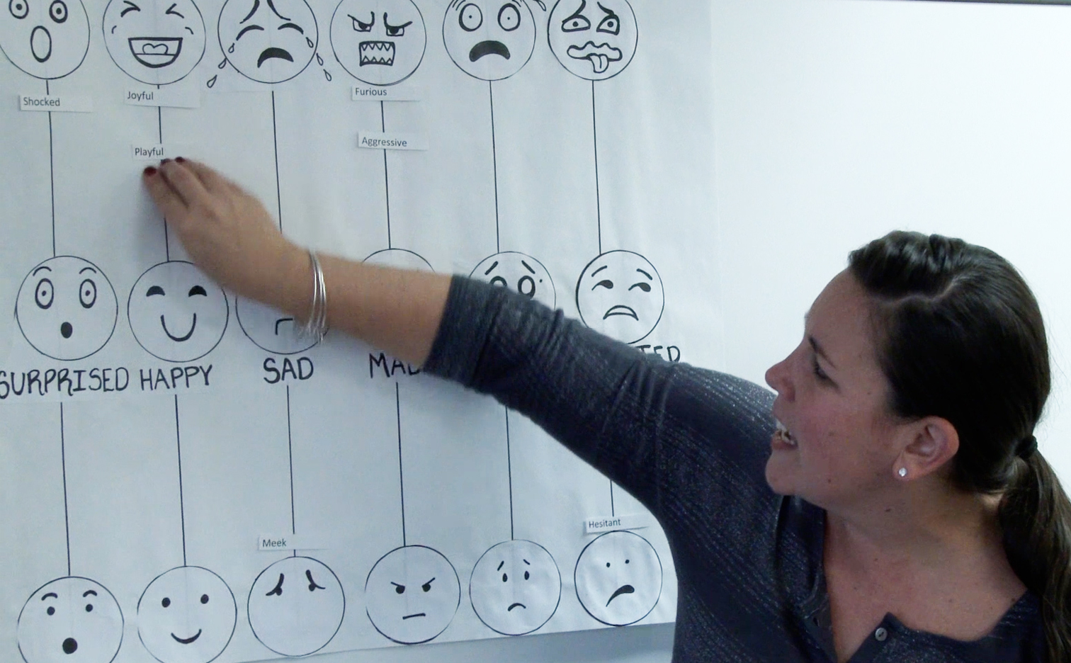 Emotion Mapping- Arts Educators talk about it - BRIDGES